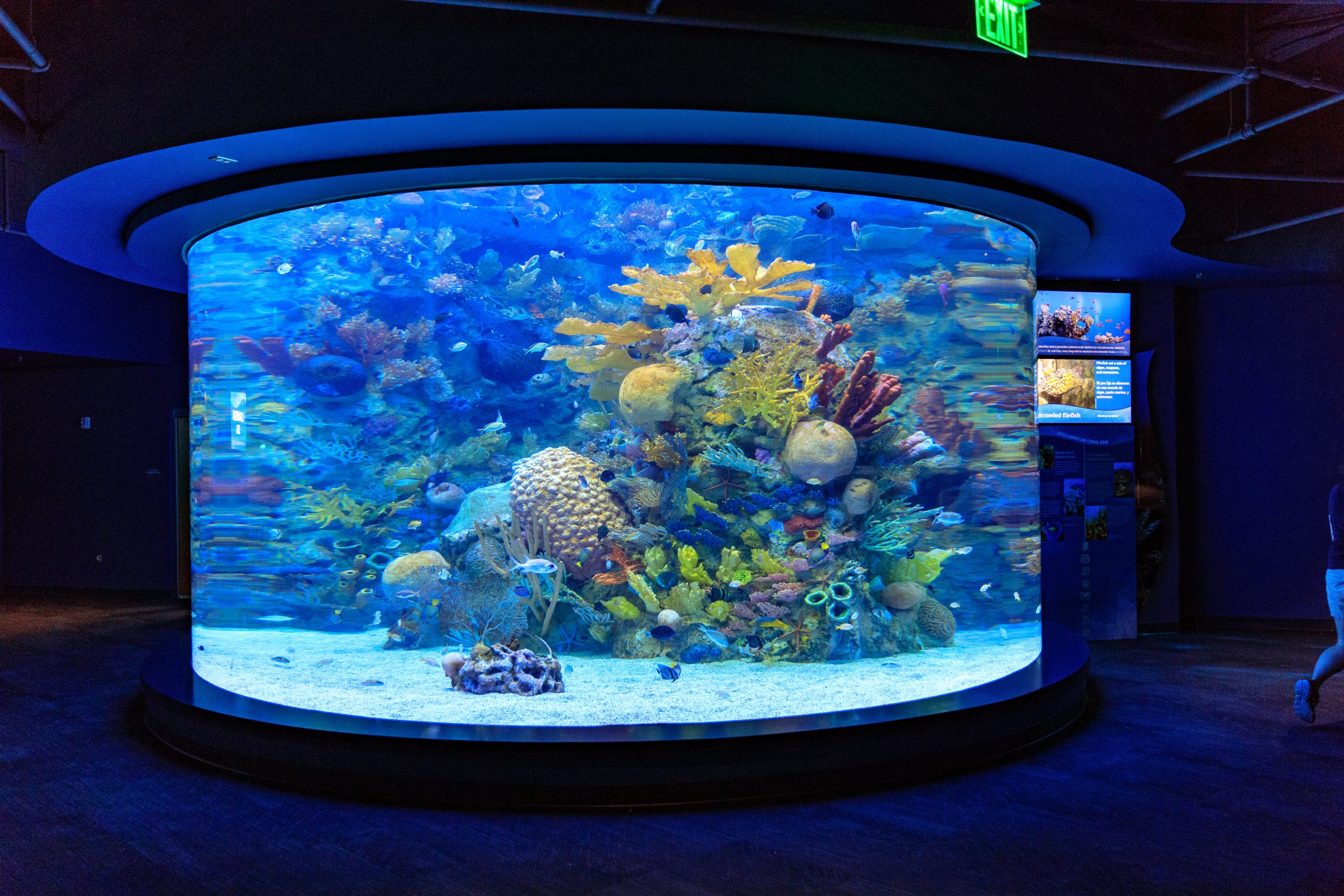 TSA Interior (8) - Texas State Aquarium