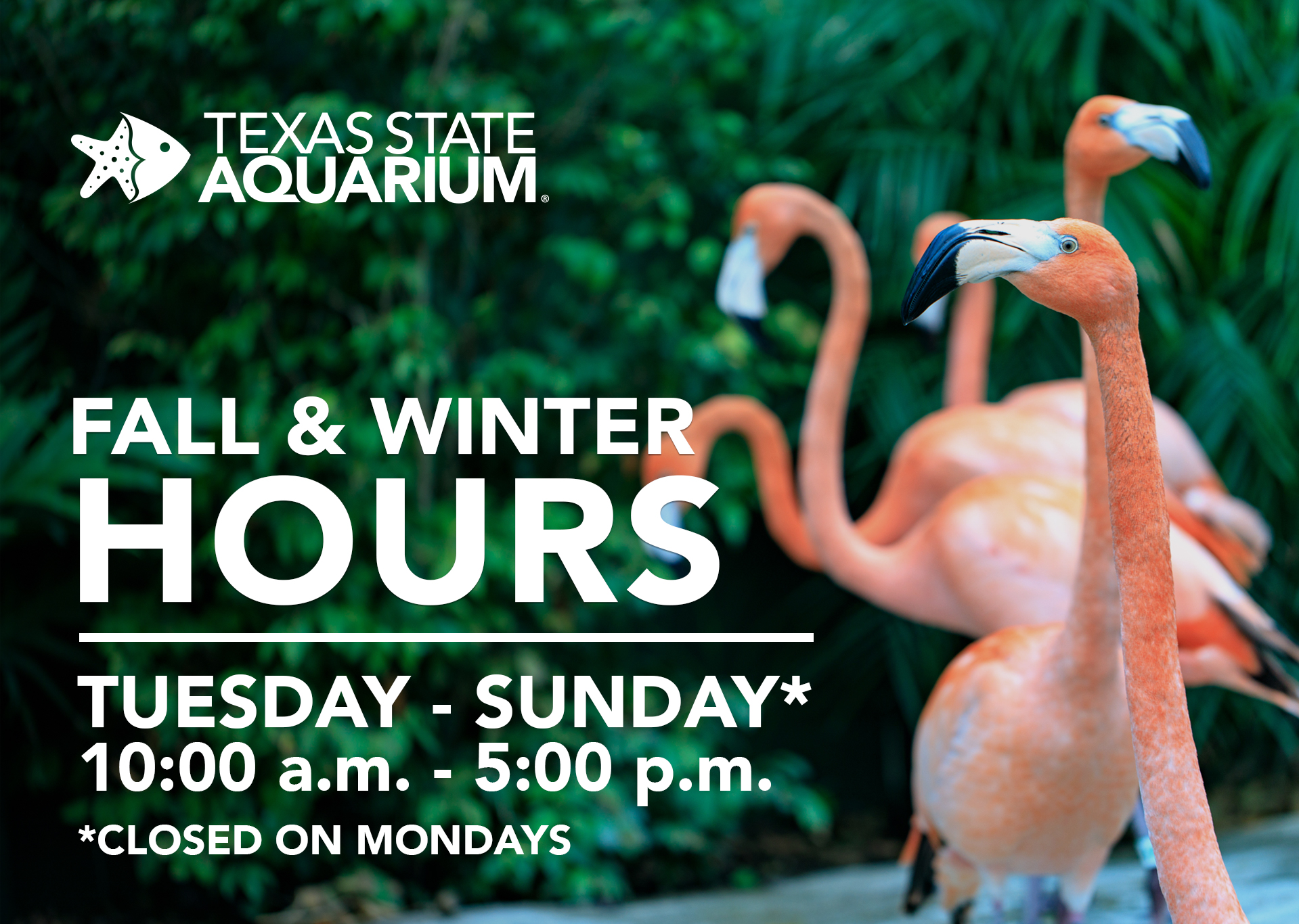 Home Page - Texas State Aquarium